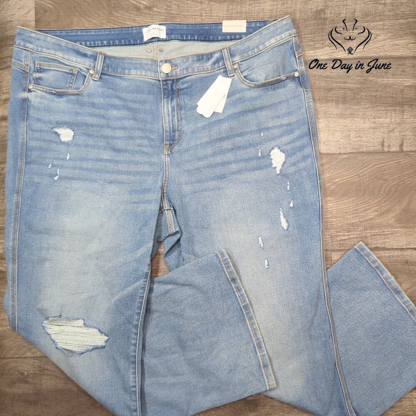 Lane Bryant Body Icon Signature Fit Mid Rise Jeans Size 26 – One Day In ...